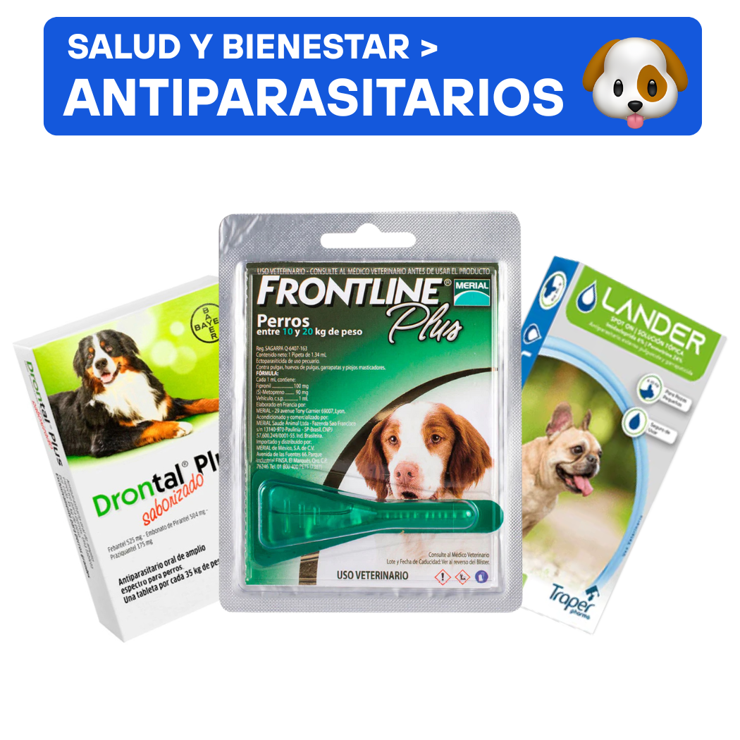 Antiparasitarios para Perros – NovaPet