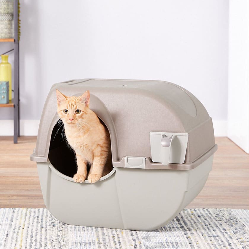 Omega Paw Clean N Roll Large – NovaPet